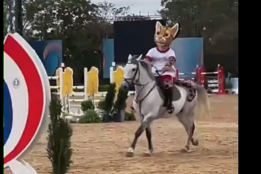 Popular / (VIDEO).Tirika ahora ya es todo un jinete y campeón en salto ...