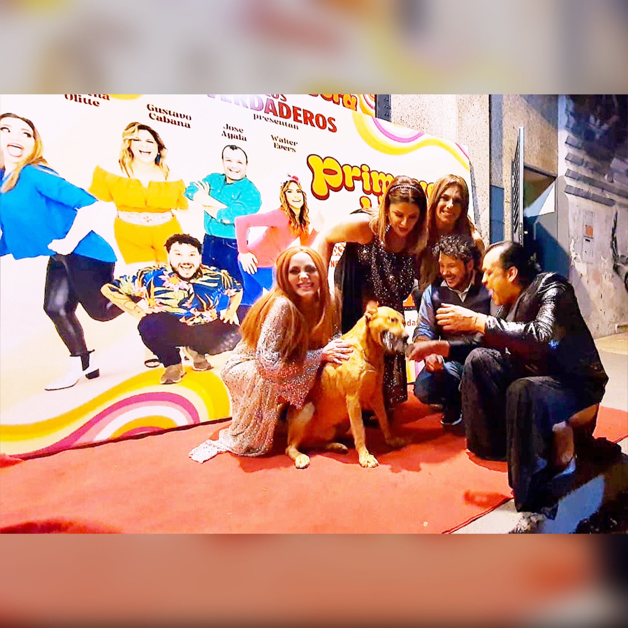 Popular / Simpático firulais posó con los actores y se paseó a sus ...