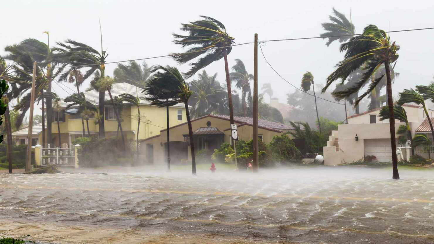 Popular / (VIDEO)Consulado reporta que no hay paraguayos heridos ...