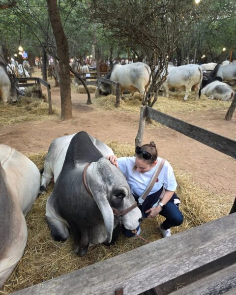 Popular / ¡La influencer Anne Walde se subió a un toro!