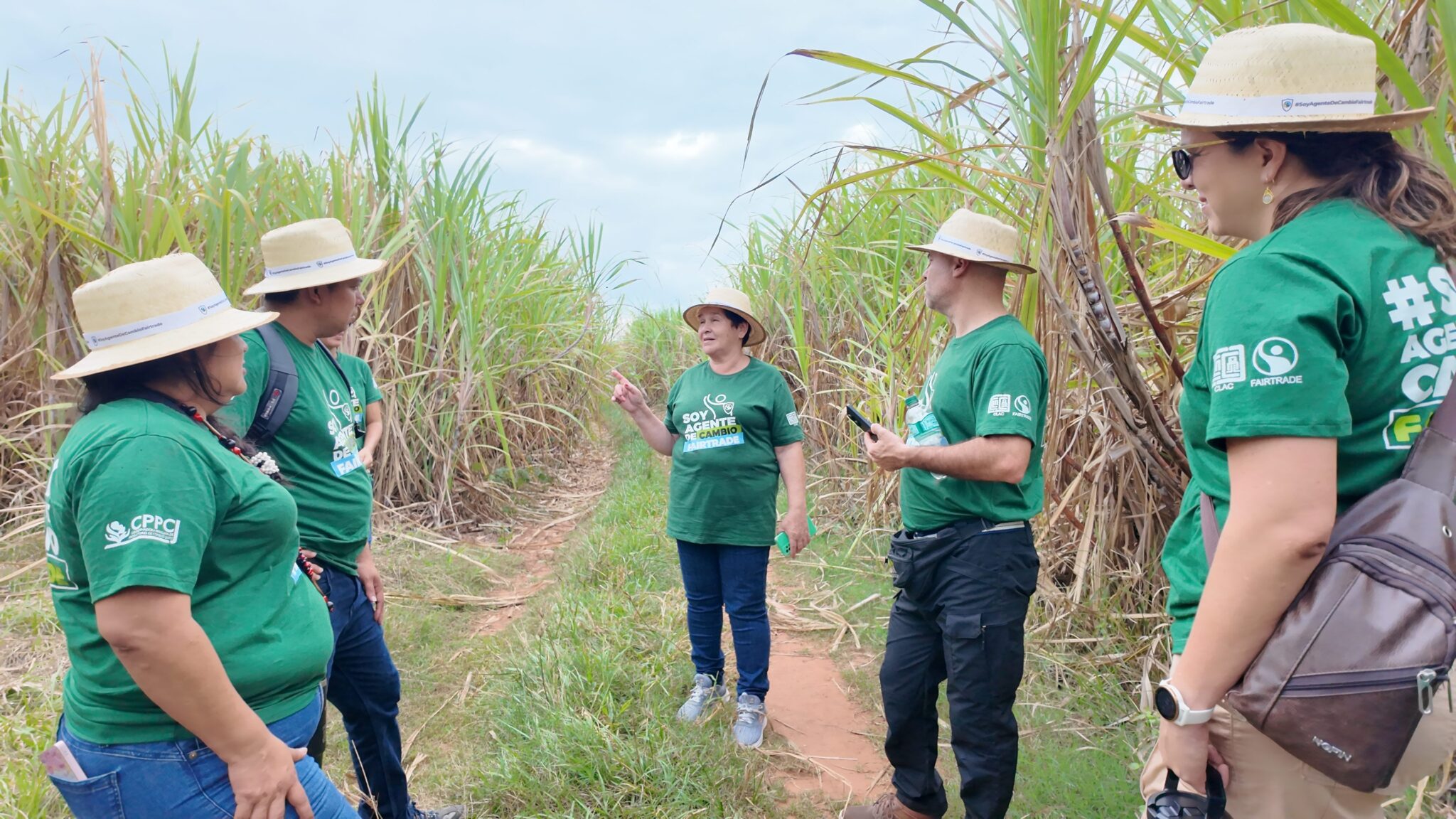 Popular / CPPCJ a la espera de la aprobación de la ley de ...
