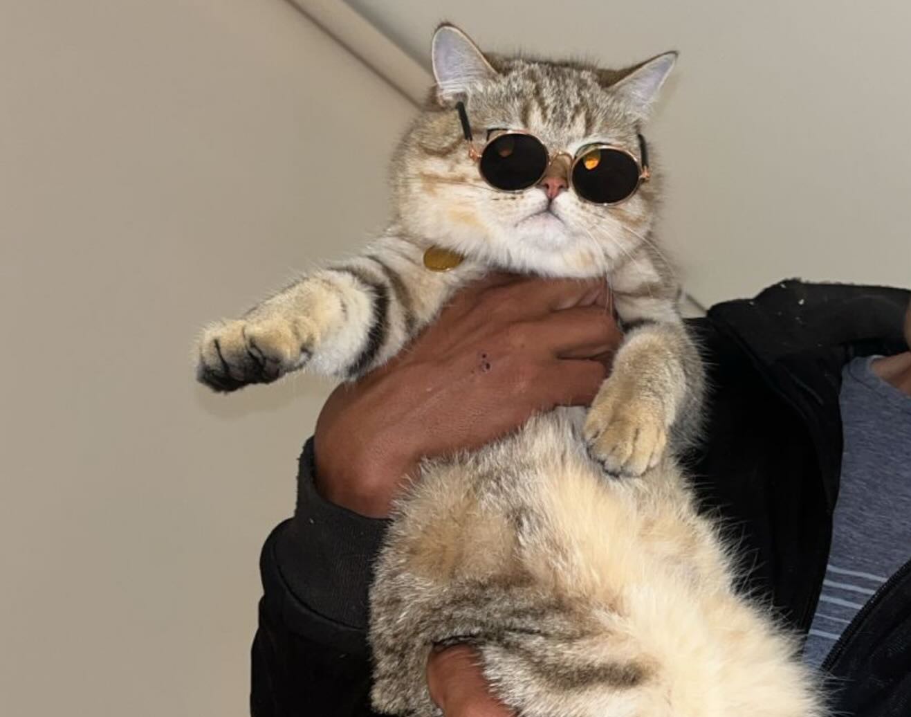 Popular / ¡Atendéna! ¡Se pasó de facha el gato de un pelotero albirrojo!